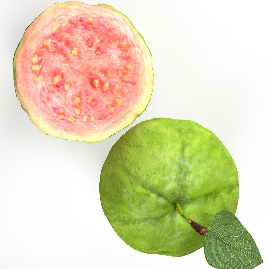 Green Guava 3d Obj