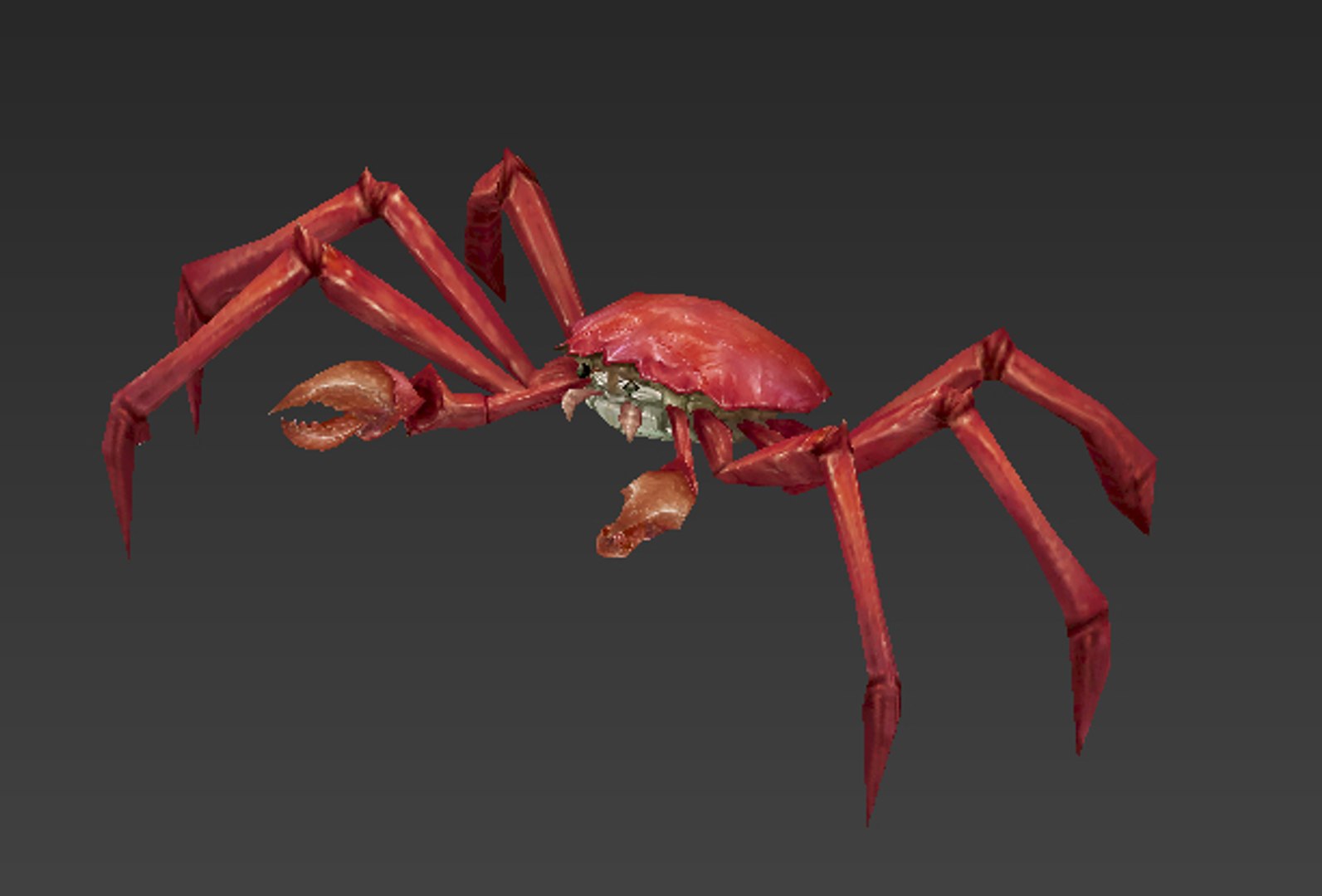 Spider crab 3D model - TurboSquid 1533712