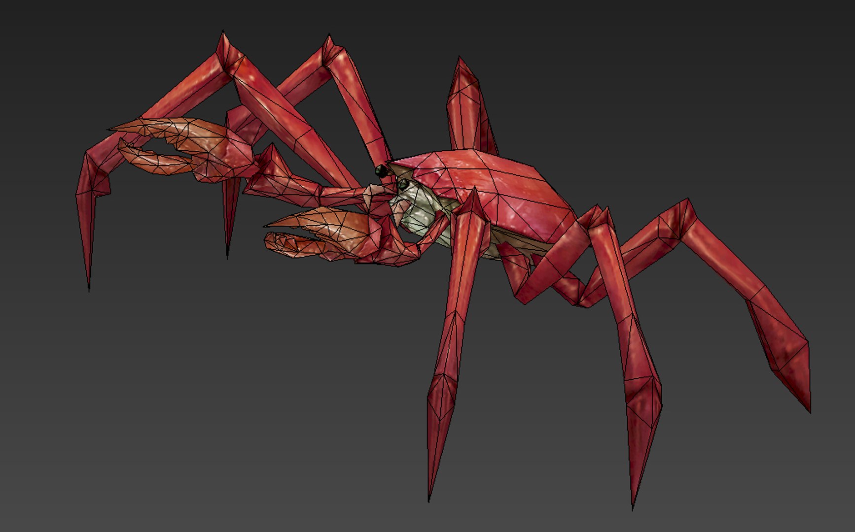 Spider Crab 3D Model - TurboSquid 1533712