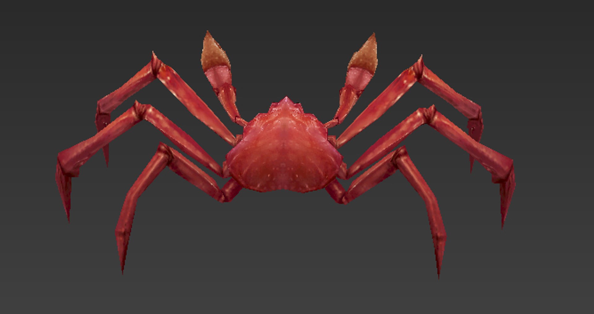 Spider crab 3D model - TurboSquid 1533712