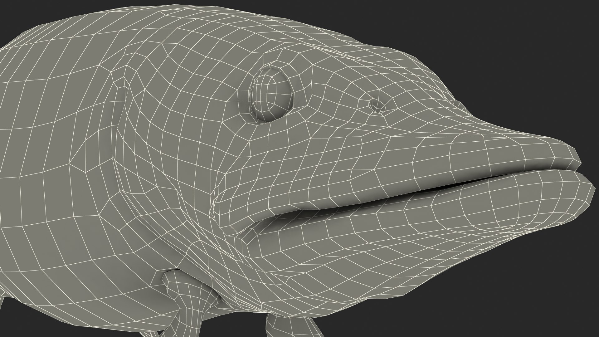 Pike fish swimming pose 3D model - TurboSquid 1584585