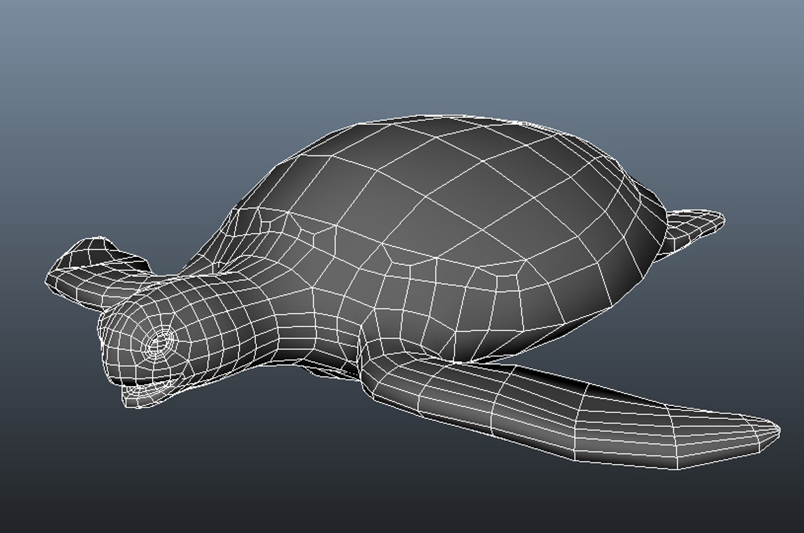 Sea Turtle 3d Obj