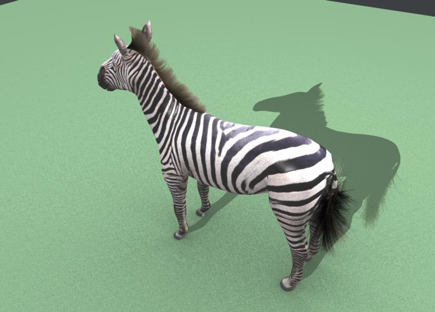zebra 3d model