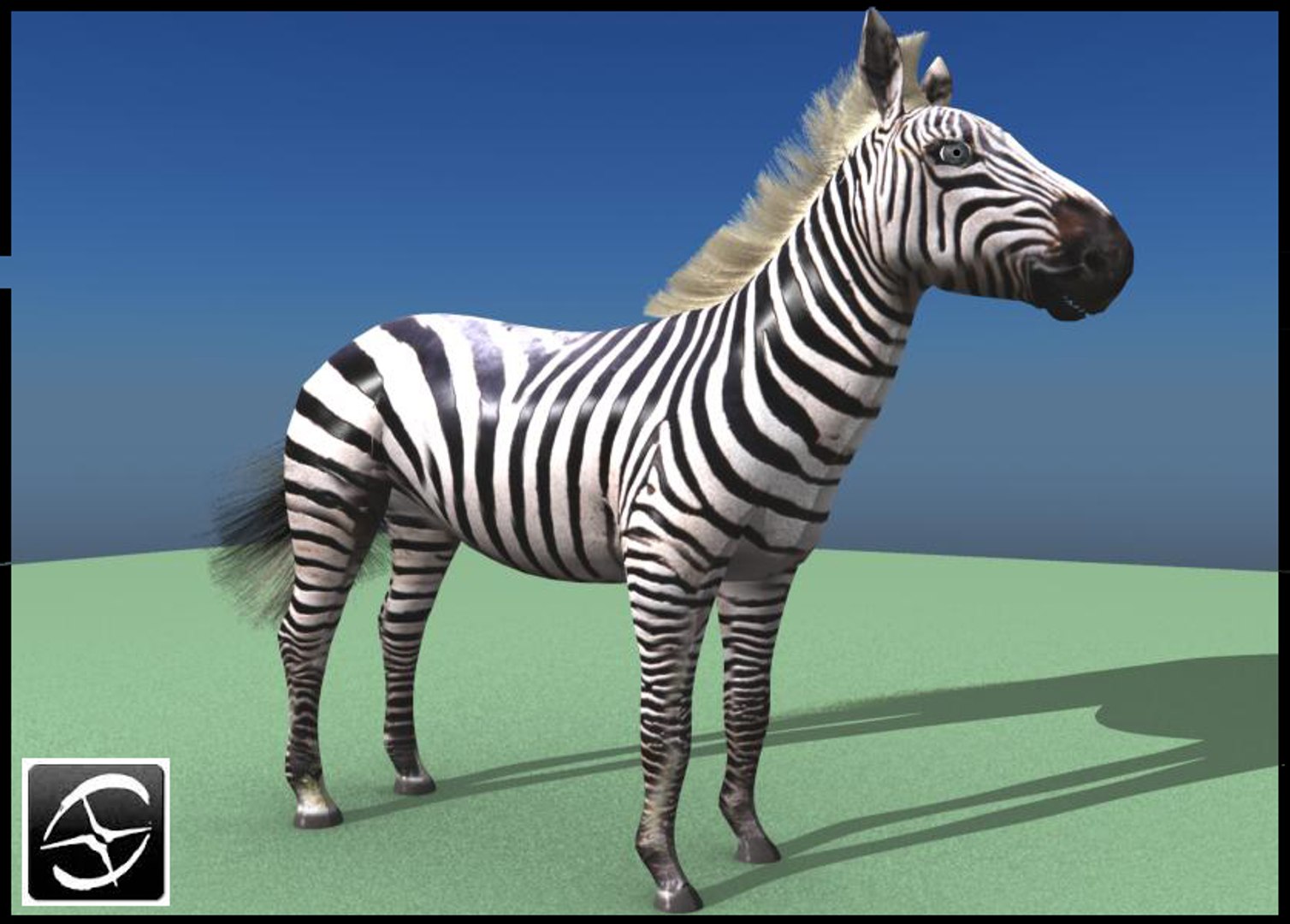 zebra 3d model