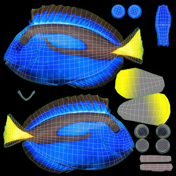 Rigging fish blue tang 3D model - TurboSquid 1647635