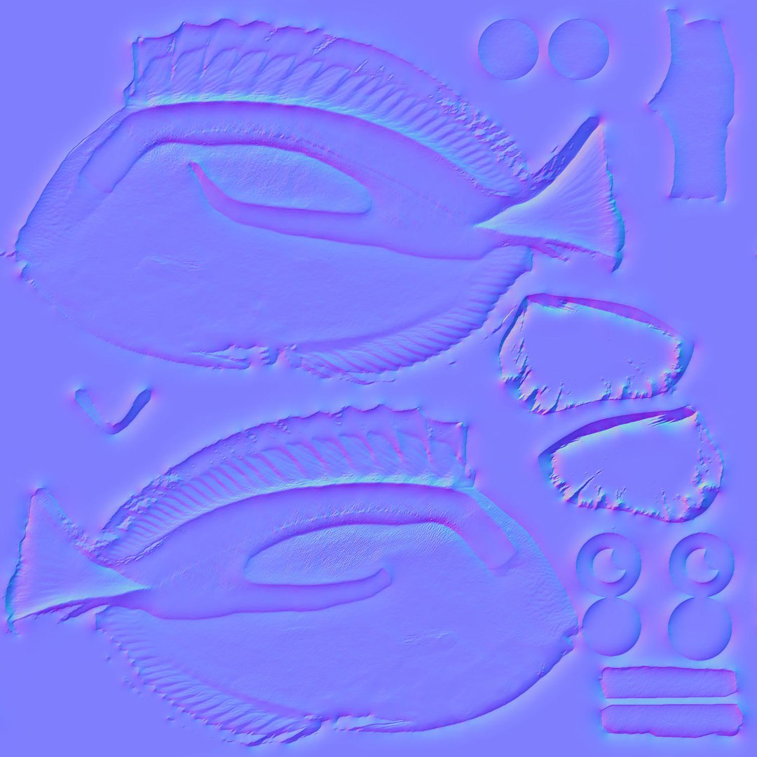 Rigging Fish Blue Tang 3D Model - TurboSquid 1647635