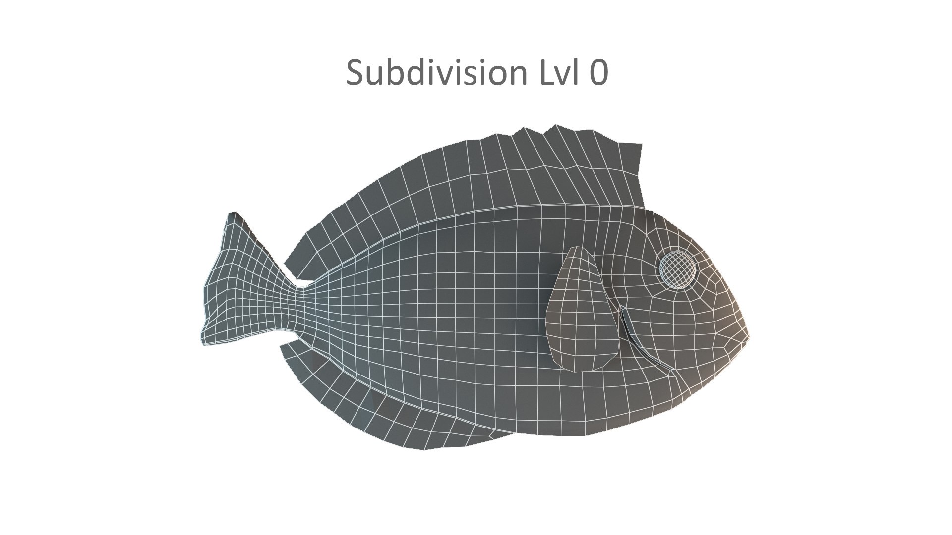Rigging Fish Blue Tang 3D Model - TurboSquid 1647635