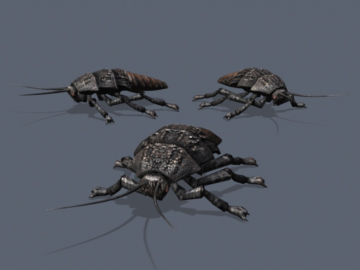 3d cockroach model