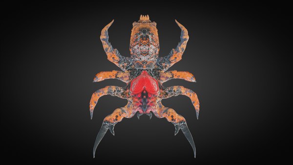 3D spider arachnid invertebrate - TurboSquid 1673013