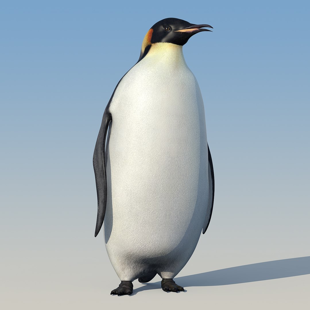 3d model of emperor penguin rigged