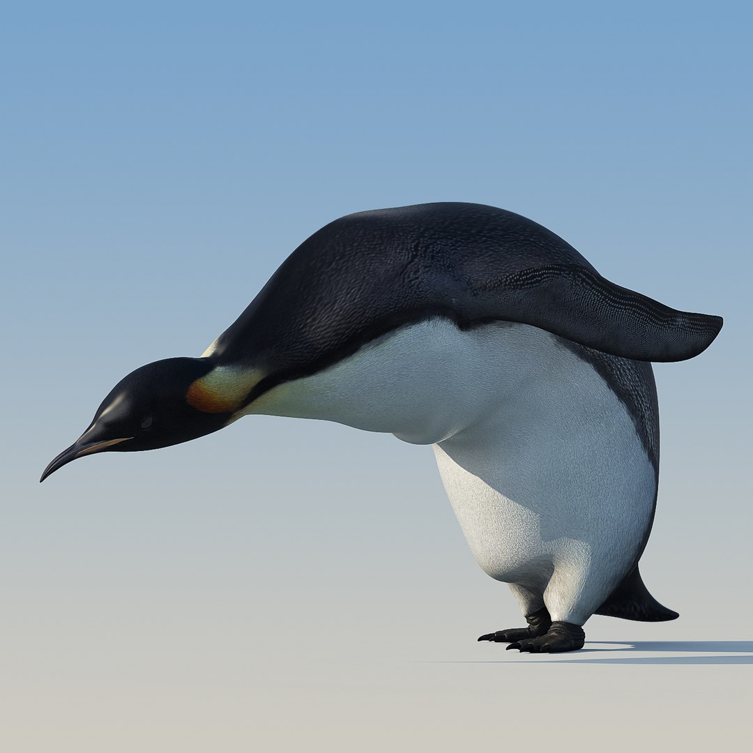 3d model of emperor penguin rigged