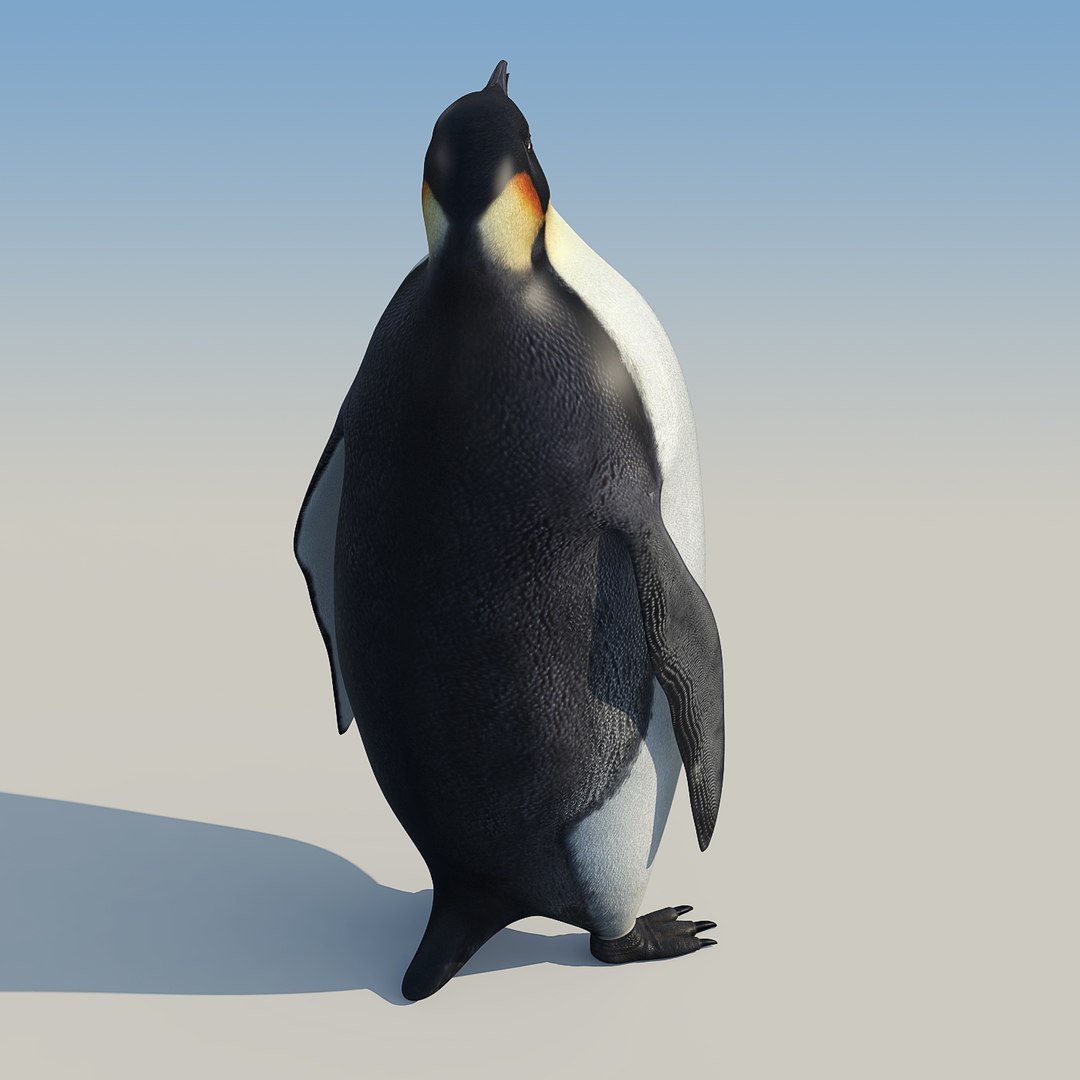 3d model of emperor penguin rigged