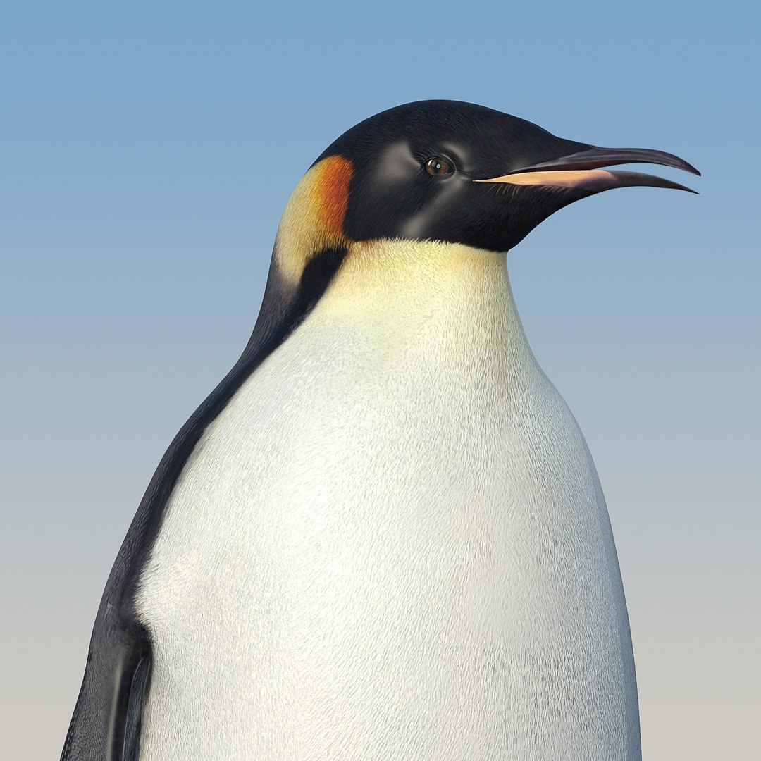 3d model of emperor penguin rigged