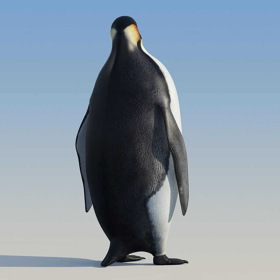 3d model of emperor penguin rigged