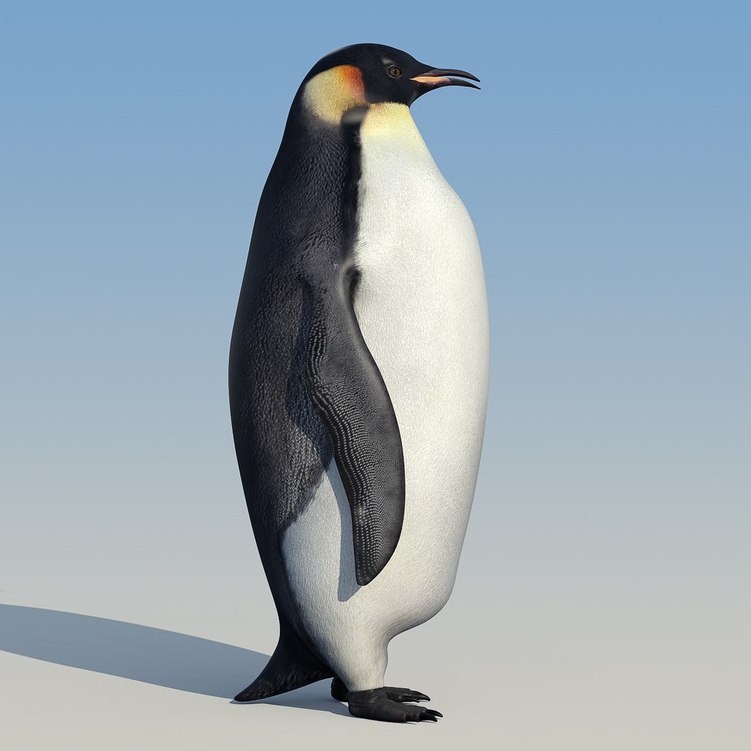 3d model of emperor penguin rigged