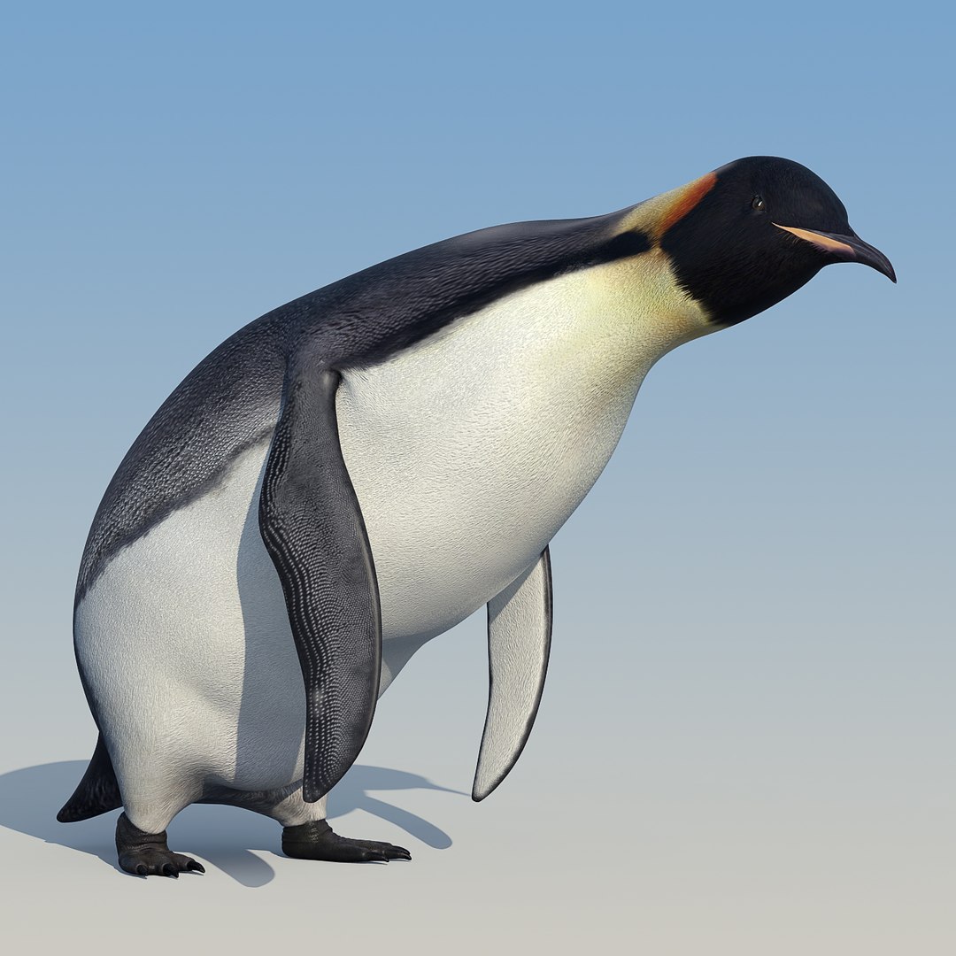 3d model of emperor penguin rigged