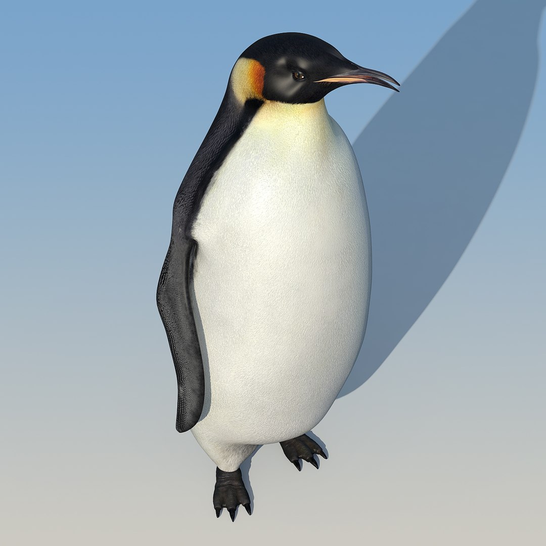 3d model of emperor penguin rigged