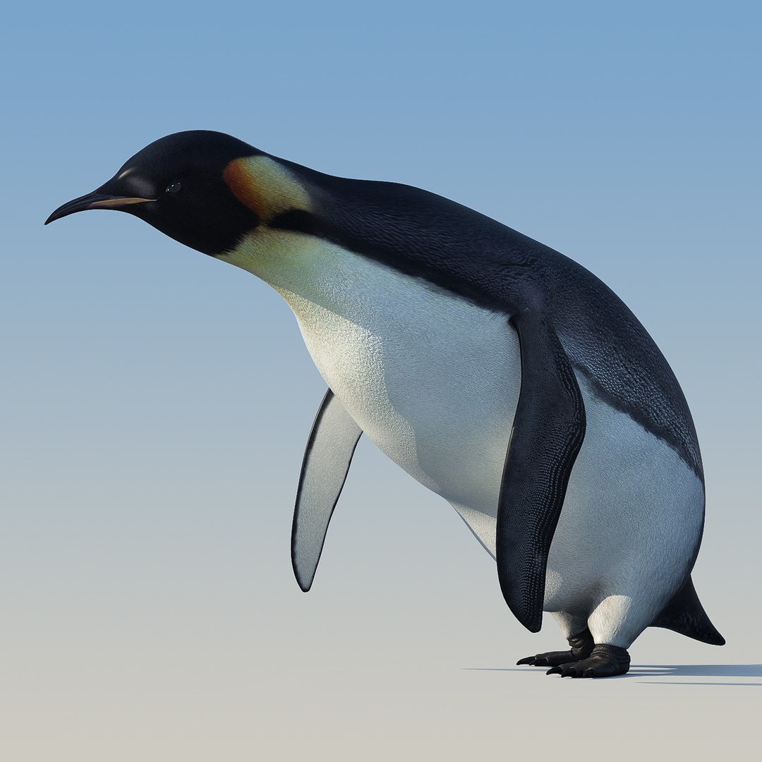 3d model of emperor penguin rigged