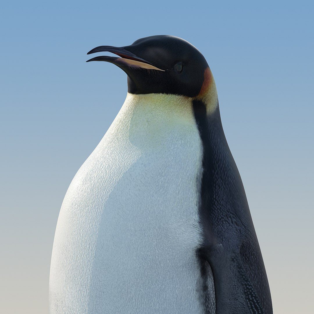 3d model of emperor penguin rigged