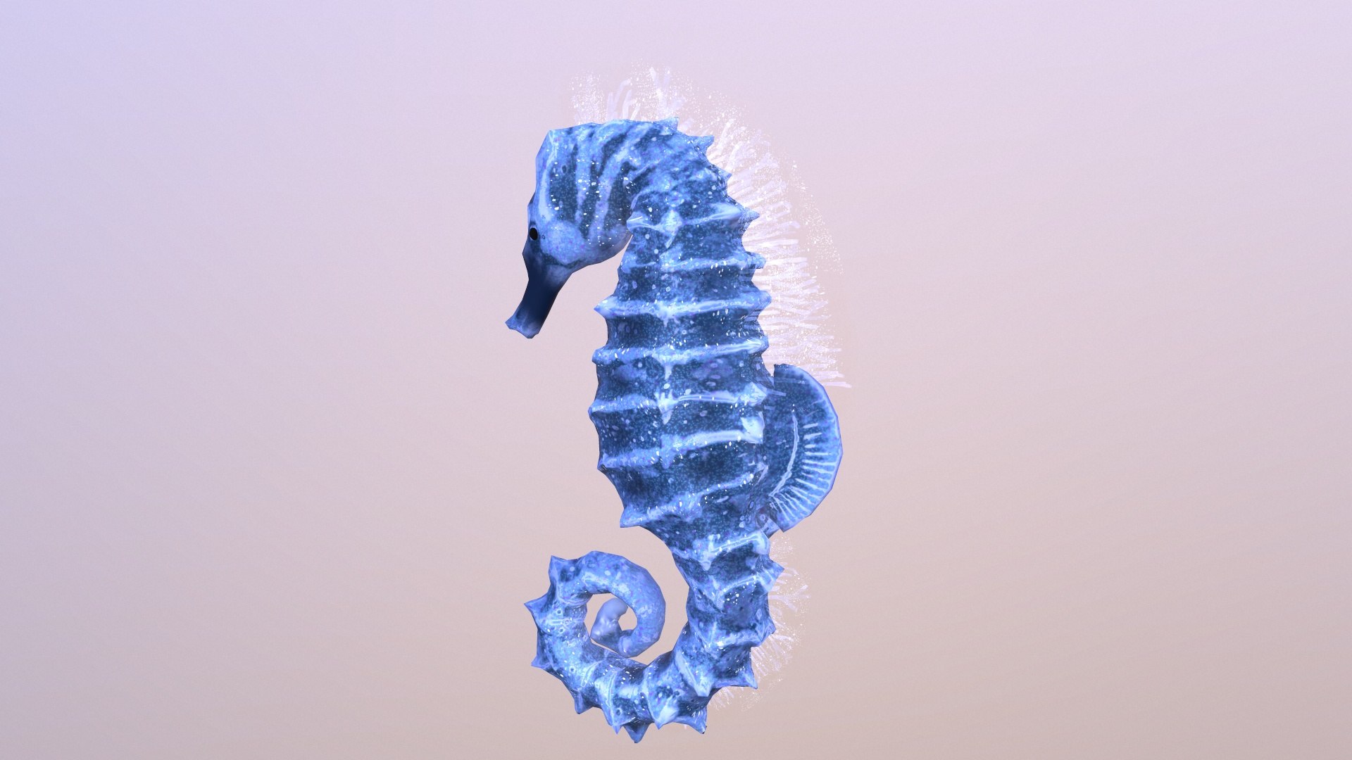 3D Model Seahorse - TurboSquid 2439295
