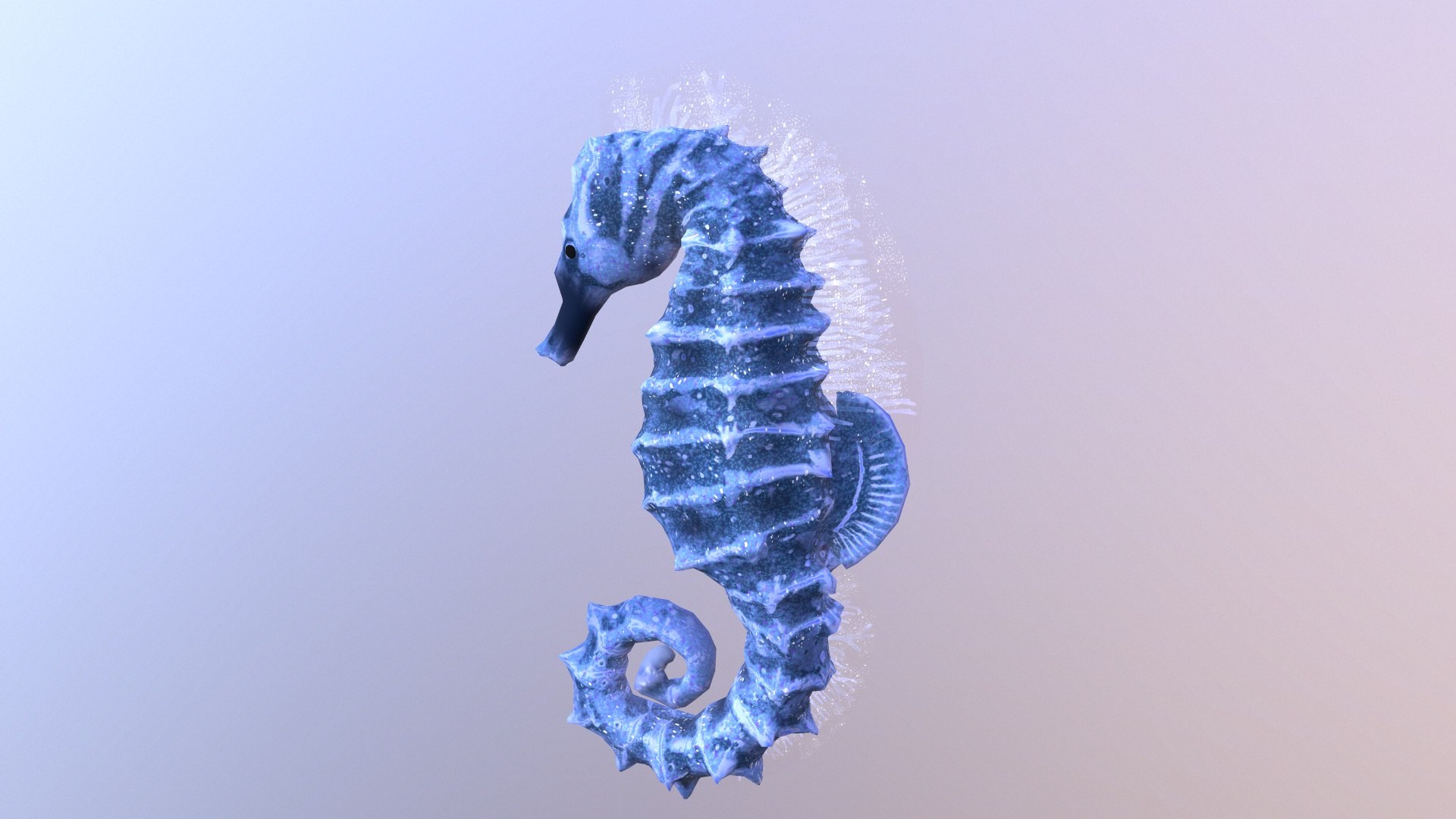 3D Model Seahorse - TurboSquid 2439295