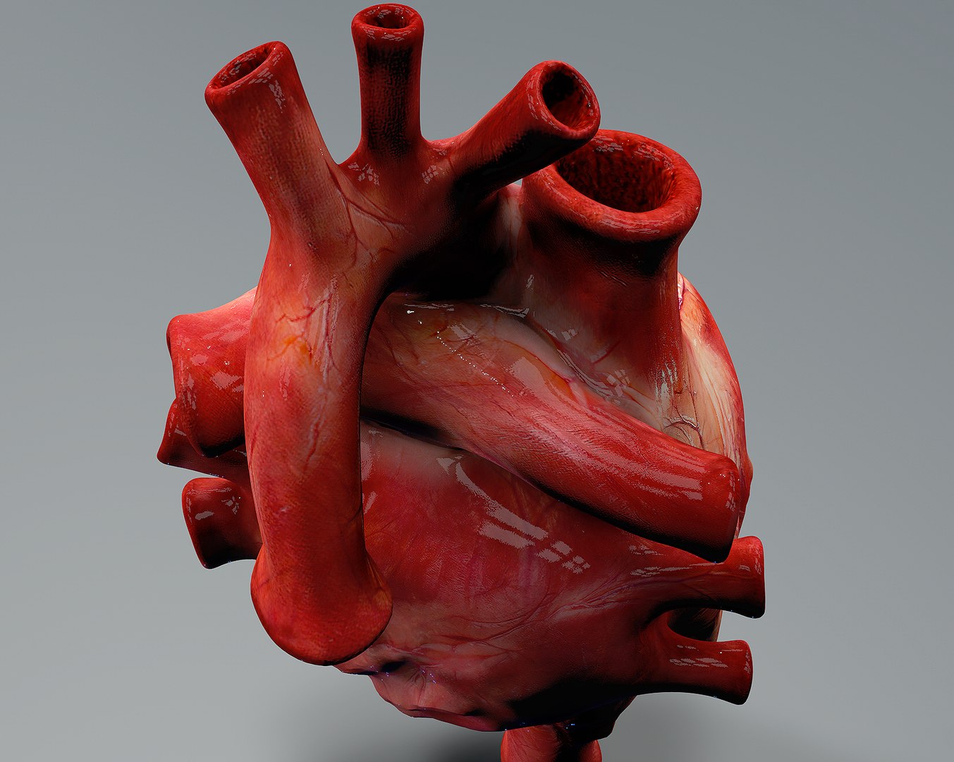 Open Heart 3D Model - TurboSquid 1408915