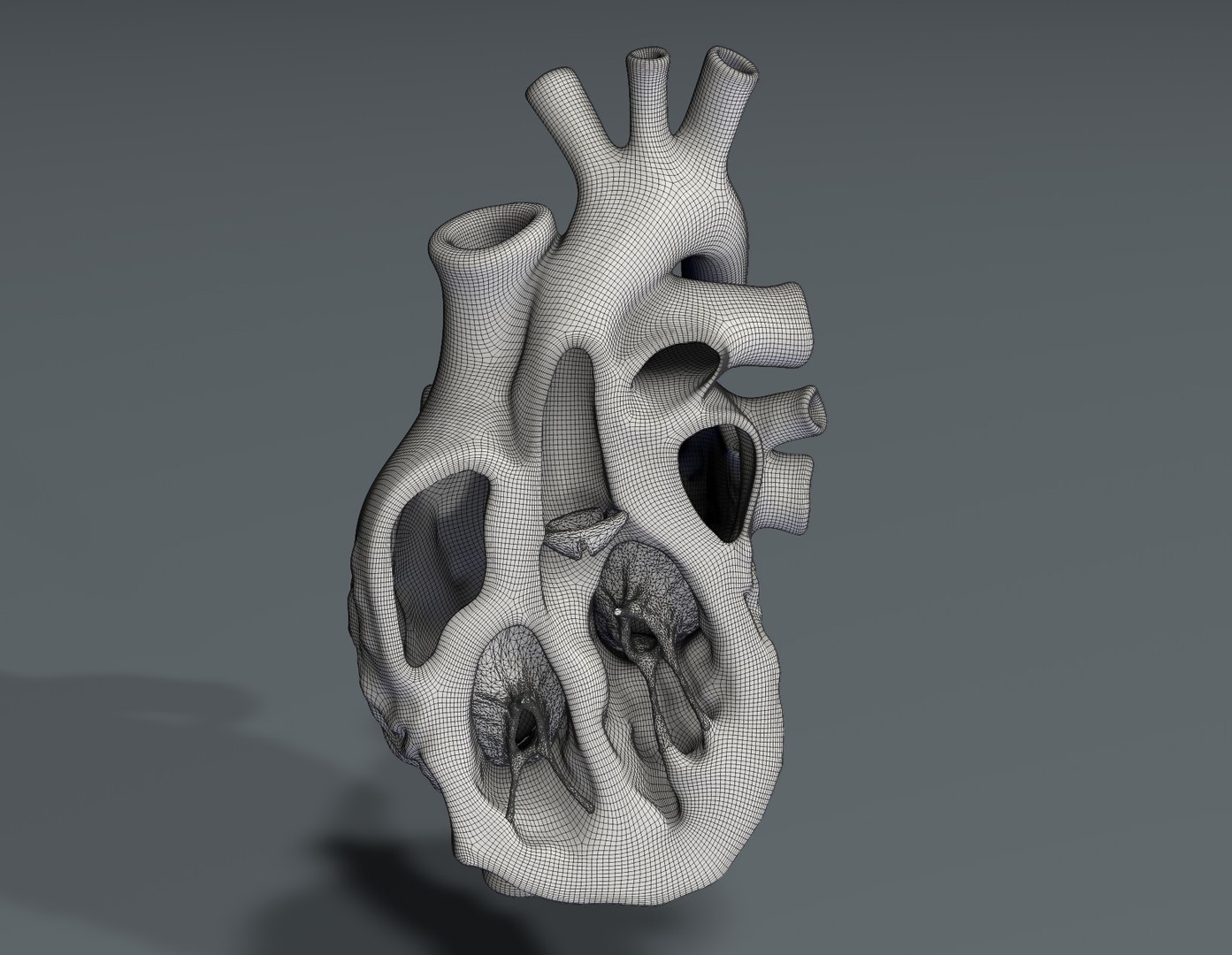 Open Heart 3D Model - TurboSquid 1408915