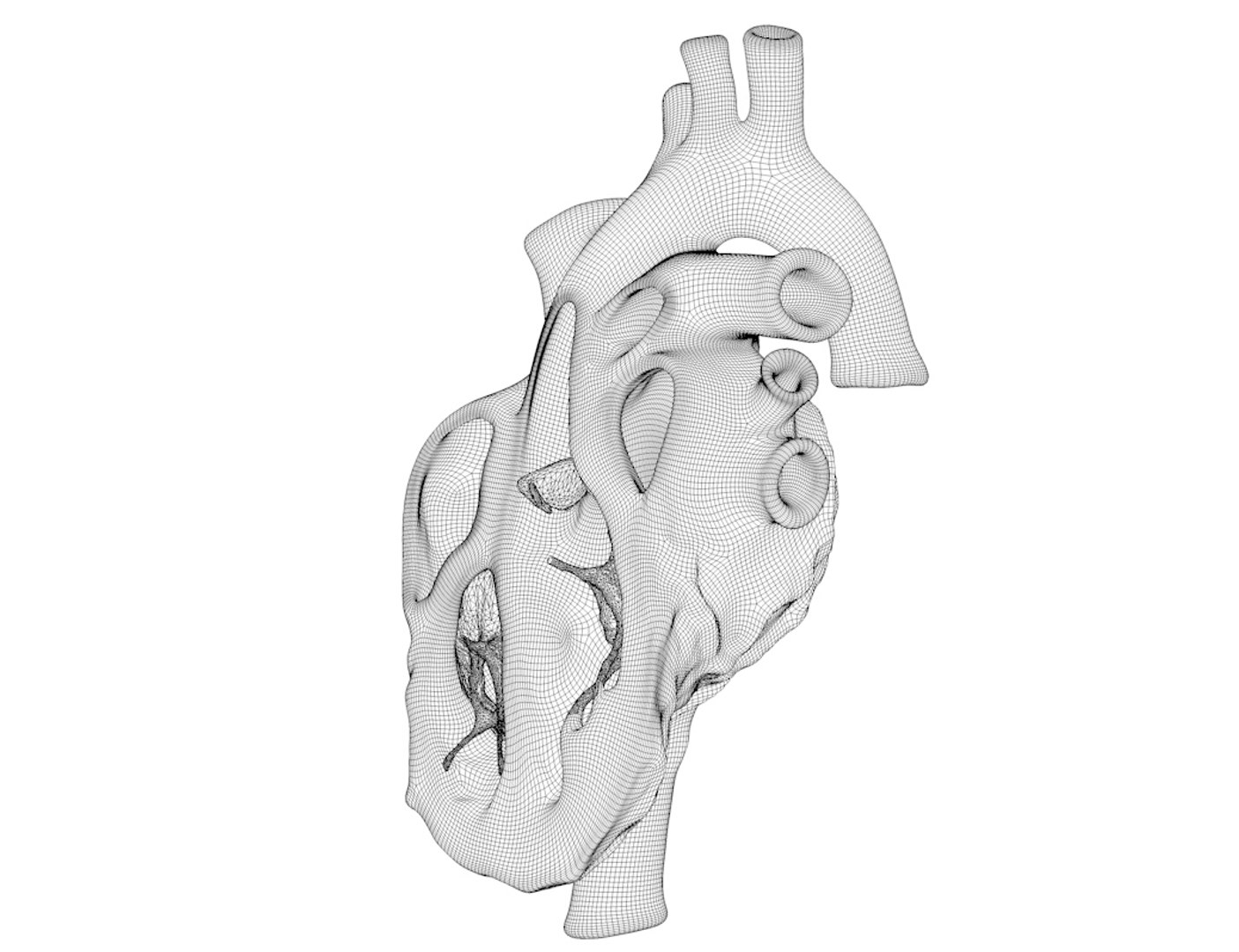 Open Heart 3D Model - TurboSquid 1408915