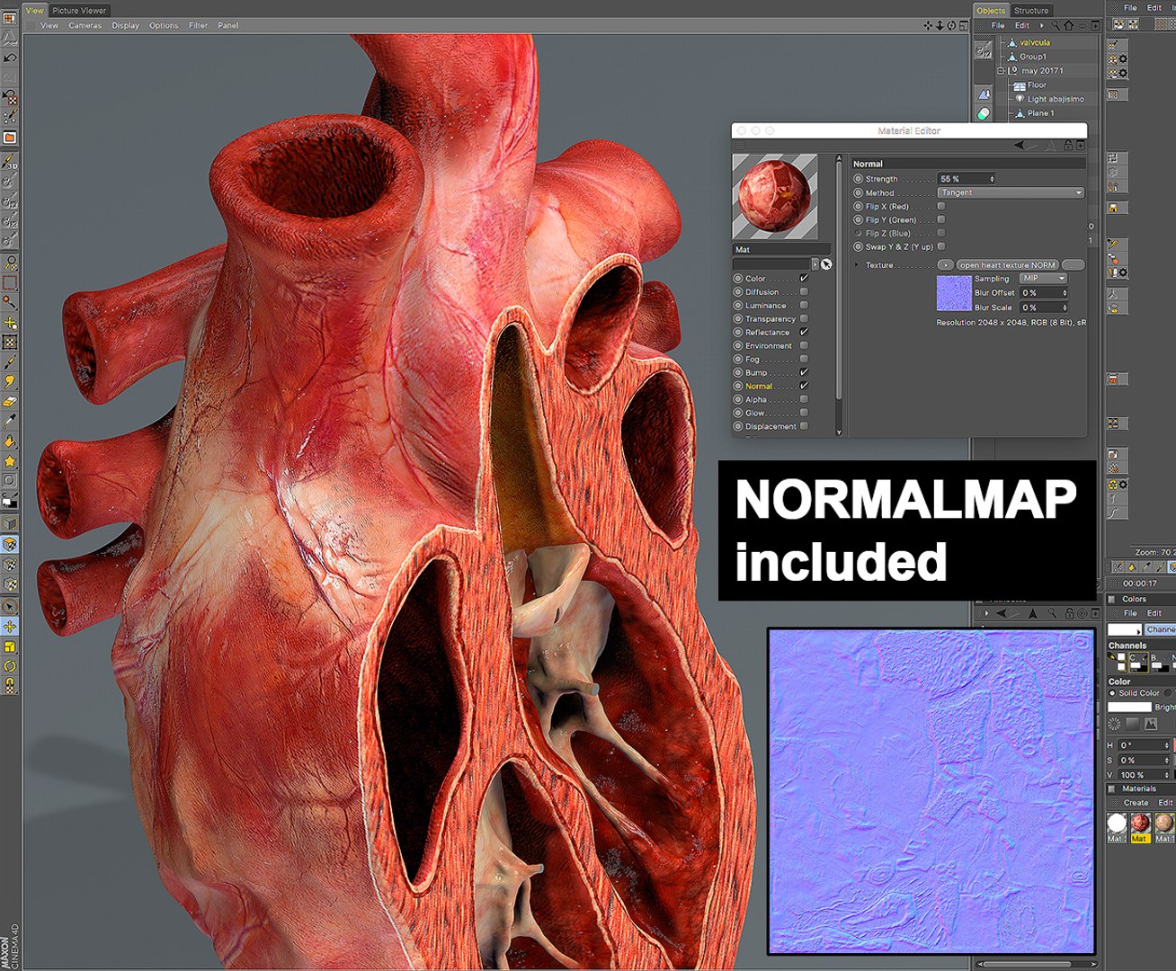 Open Heart 3D Model - TurboSquid 1408915