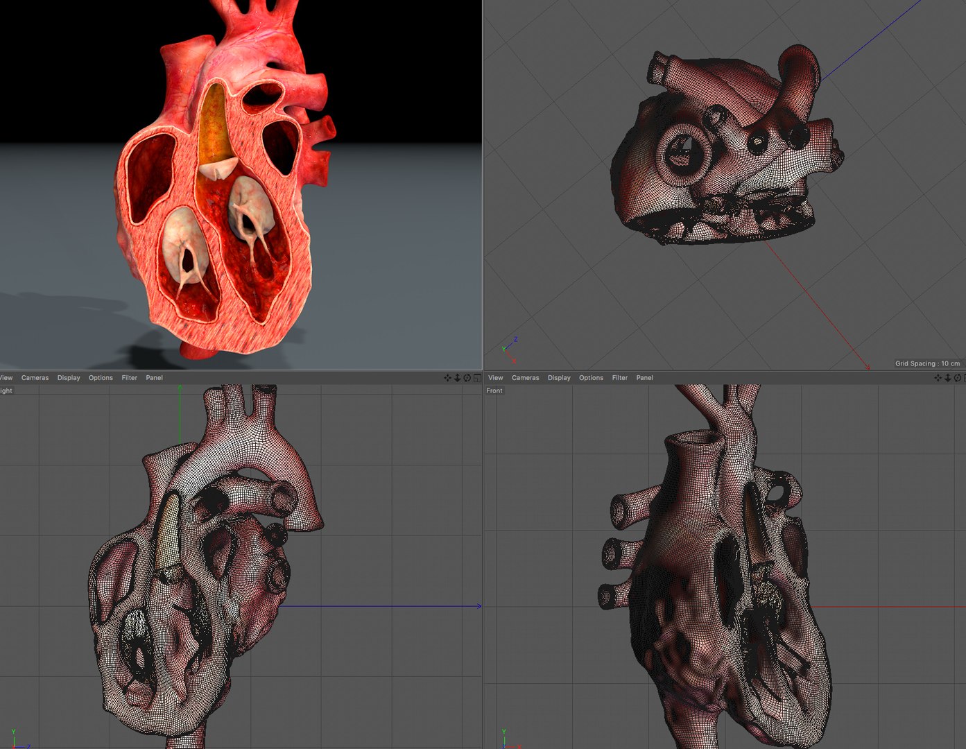 Open Heart 3D Model - TurboSquid 1408915