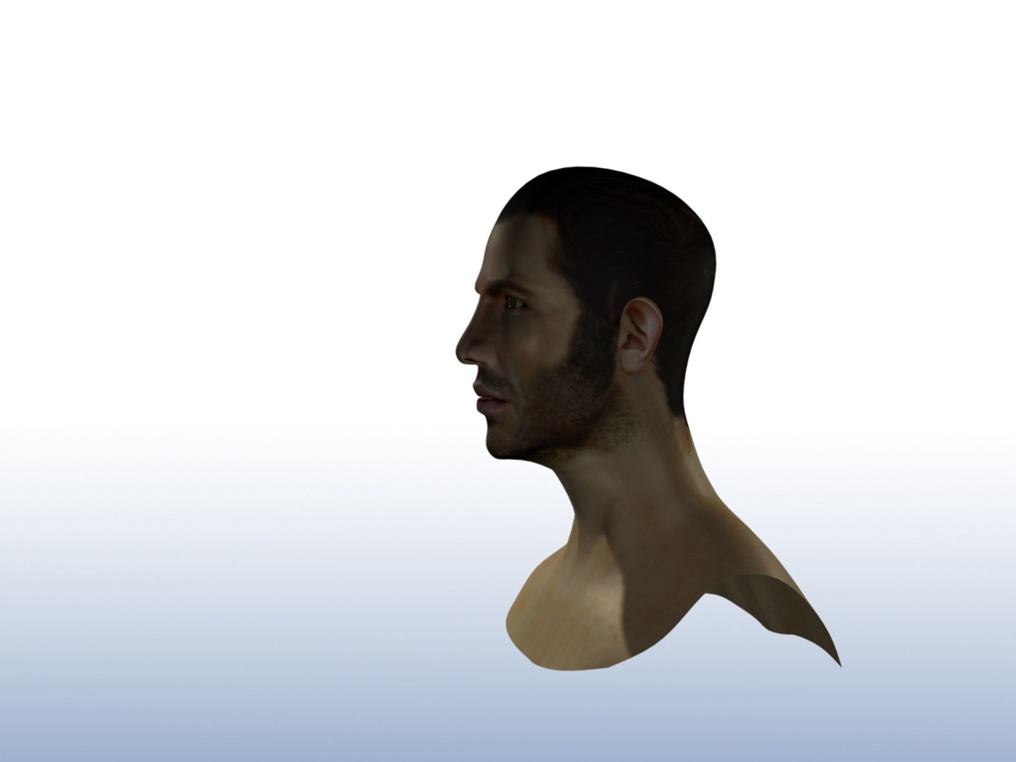 3d Realistic Head Model