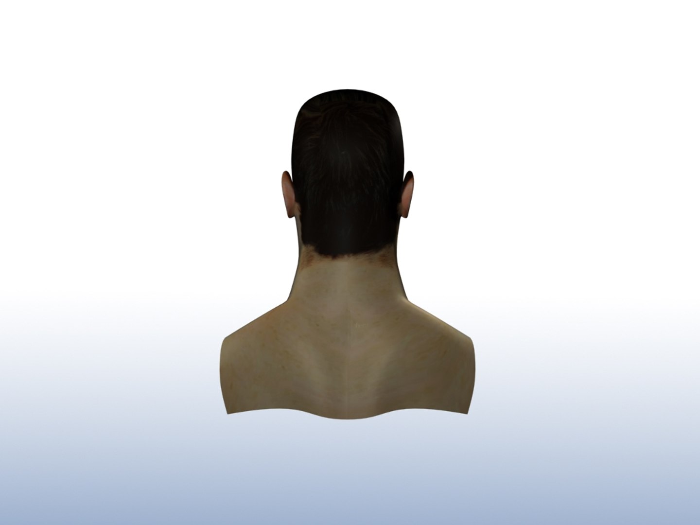 3d Realistic Head Model