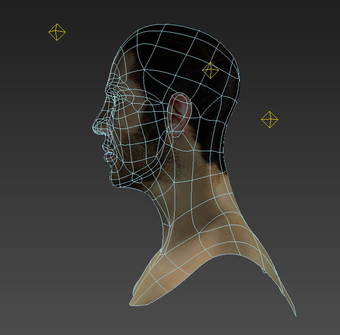 3d Realistic Head Model