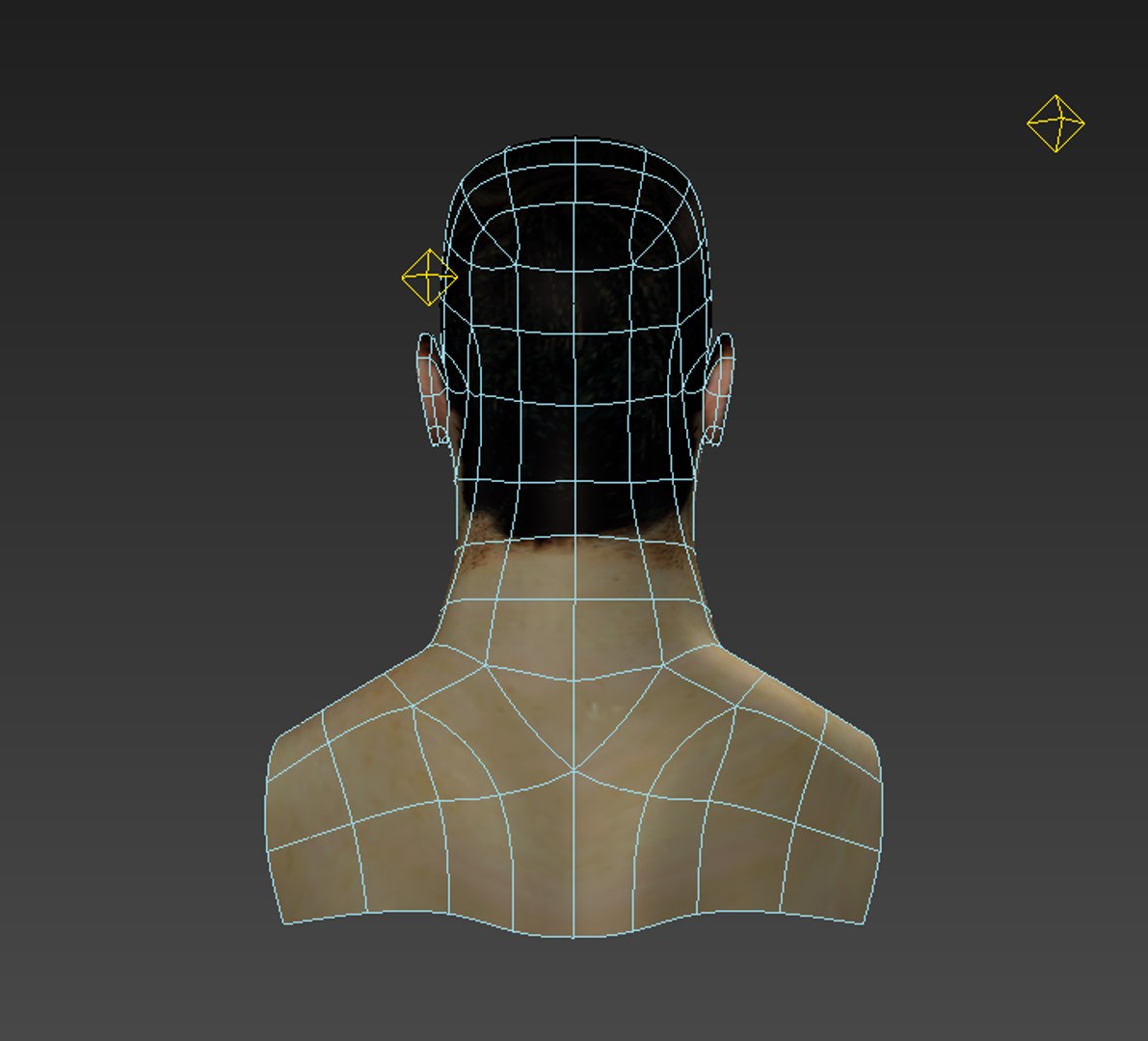 3d Realistic Head Model