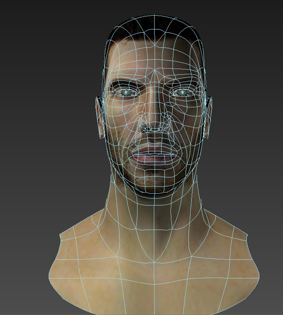 3d Realistic Head Model