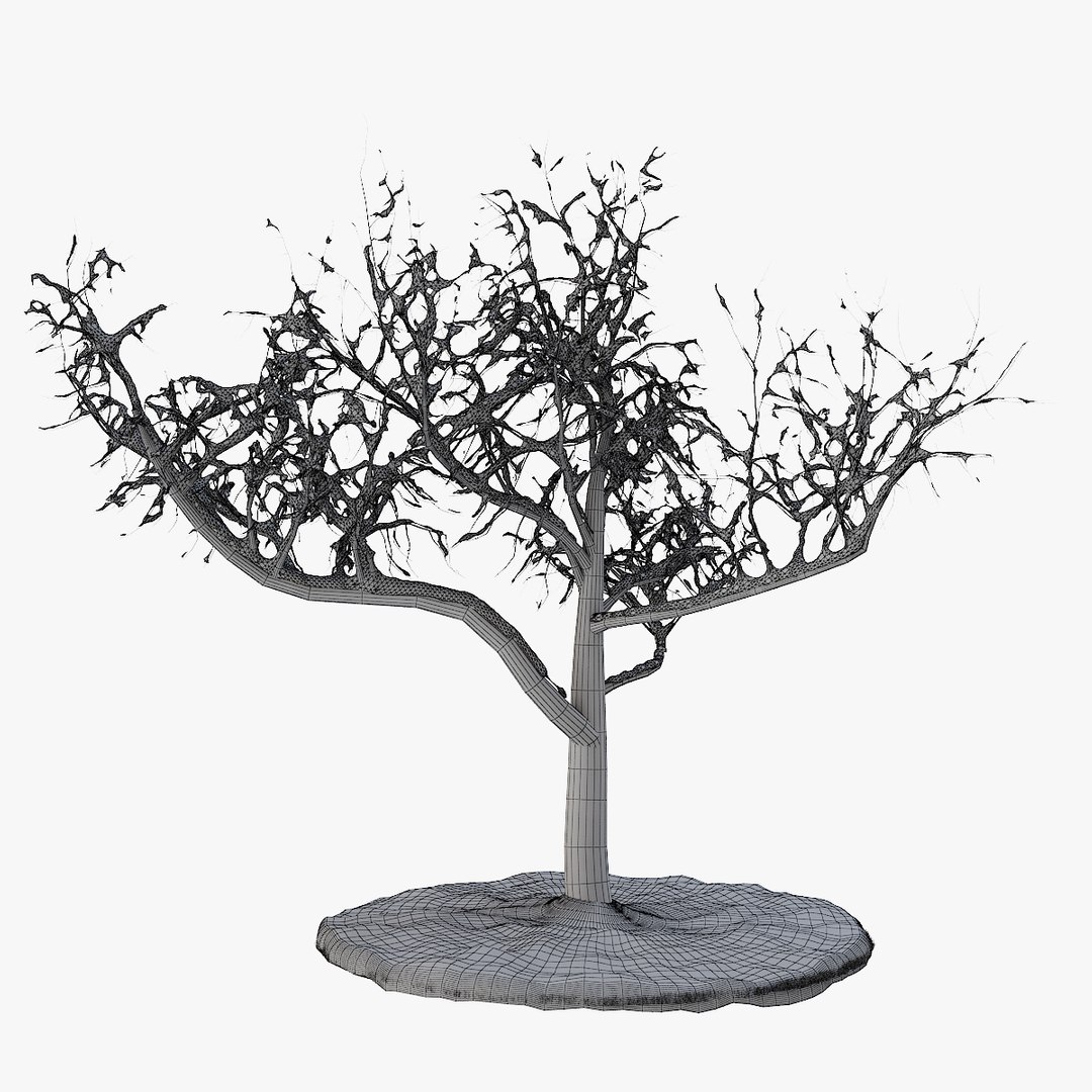 3ds Max Tree 3 Branches Snow