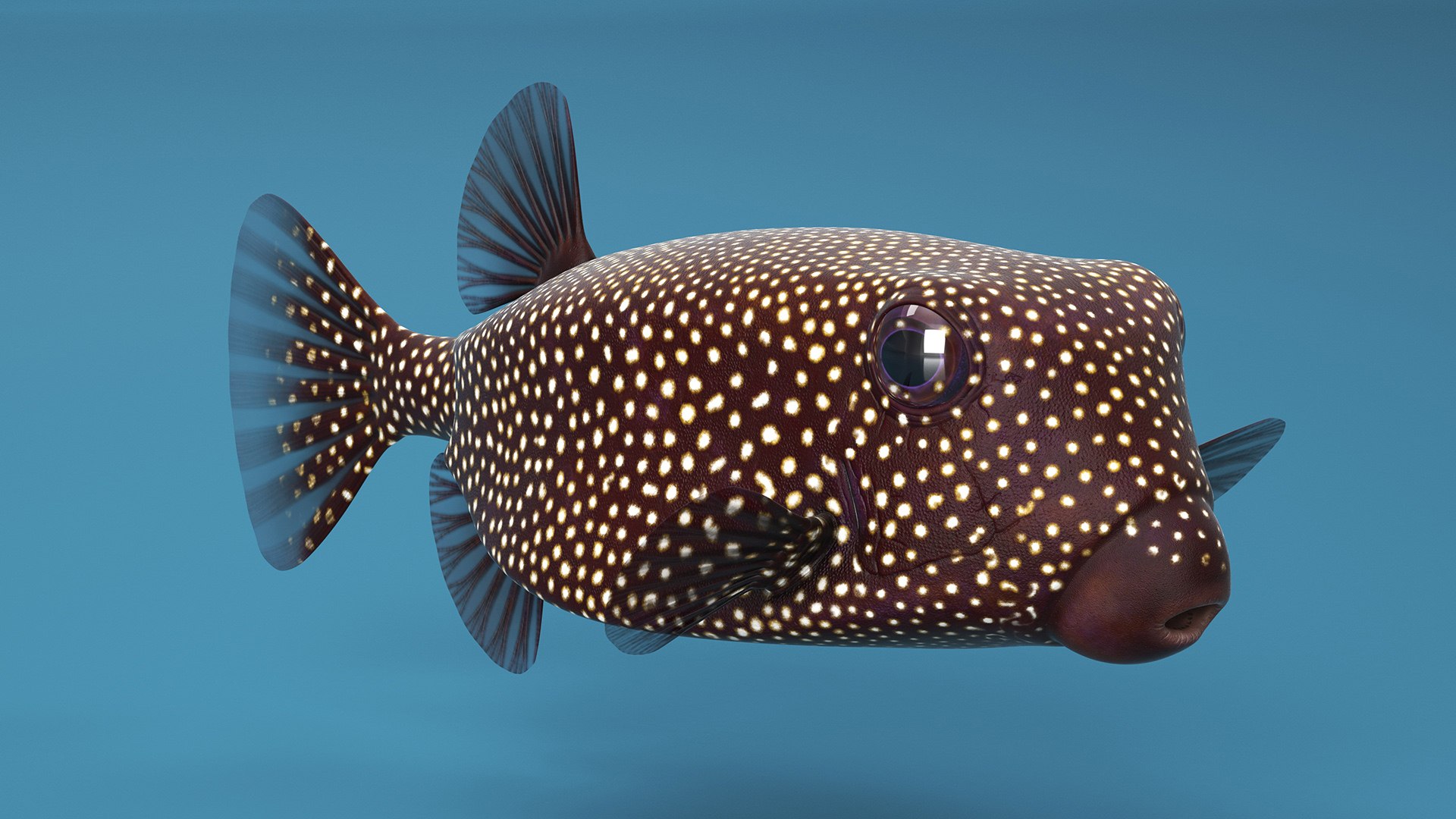 Ostracion Meleagris Fish Brown 3D - TurboSquid 2307925