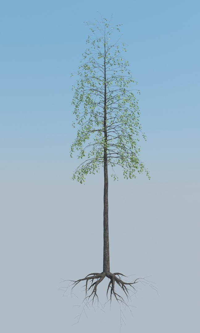 Max Tree Pack