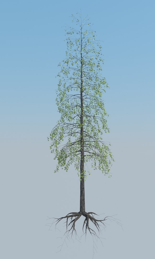 Max Tree Pack