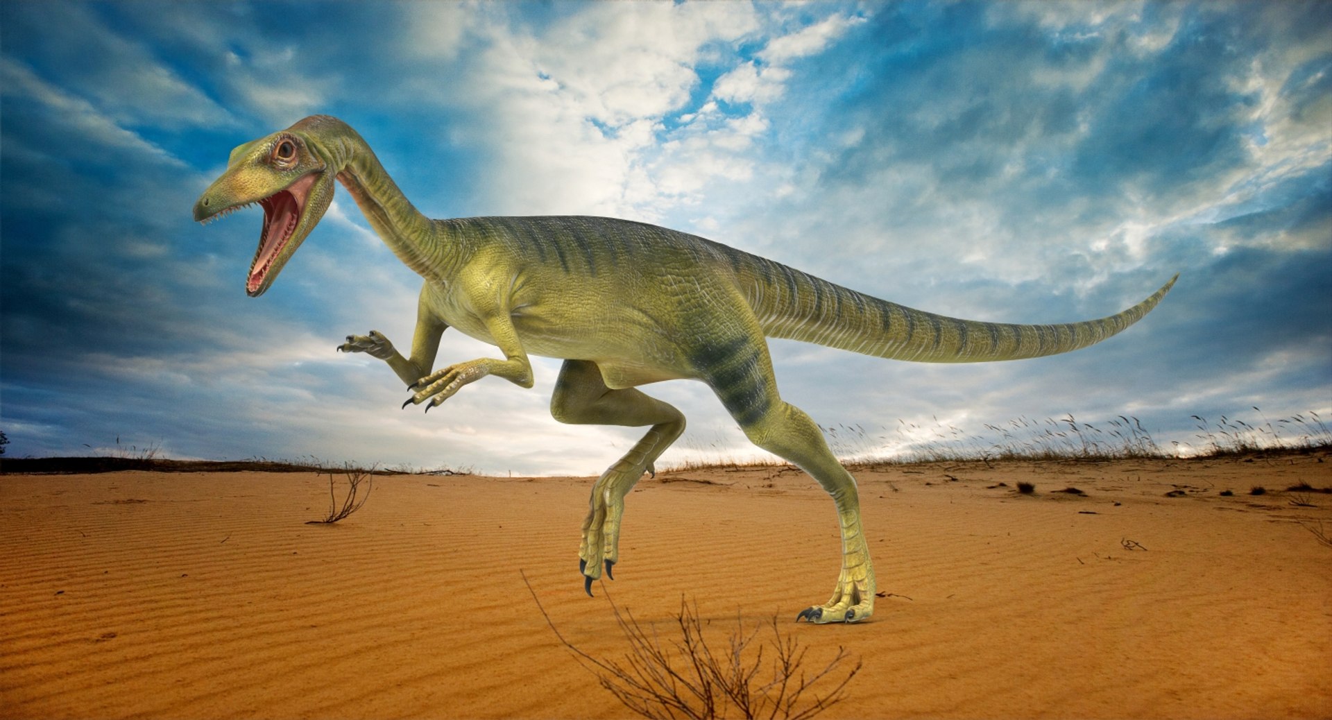 3D Model Compsognathus Dinosaur Rigged Animate - TurboSquid 1285569