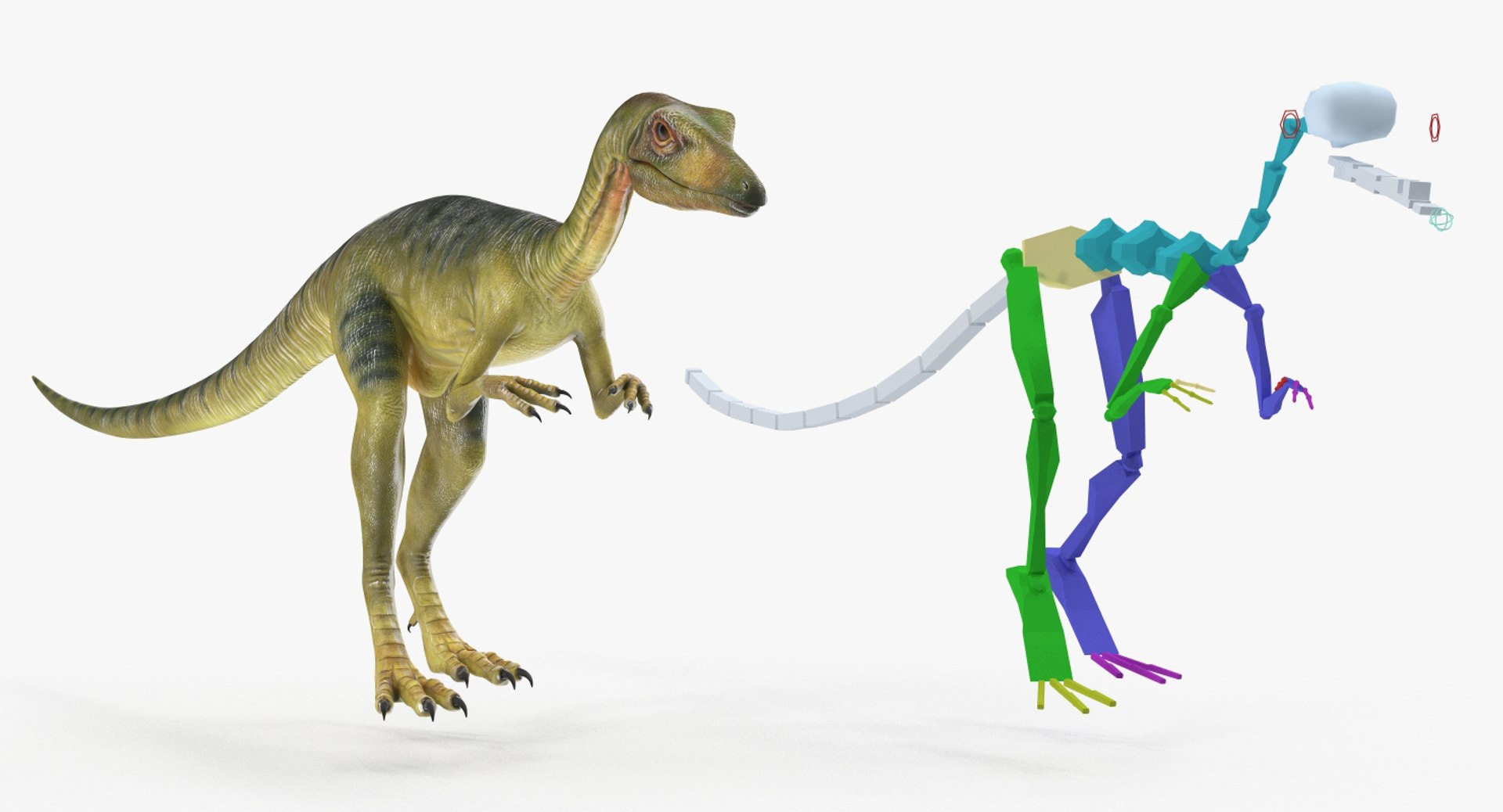 3D Model Compsognathus Dinosaur Rigged Animate - TurboSquid 1285569