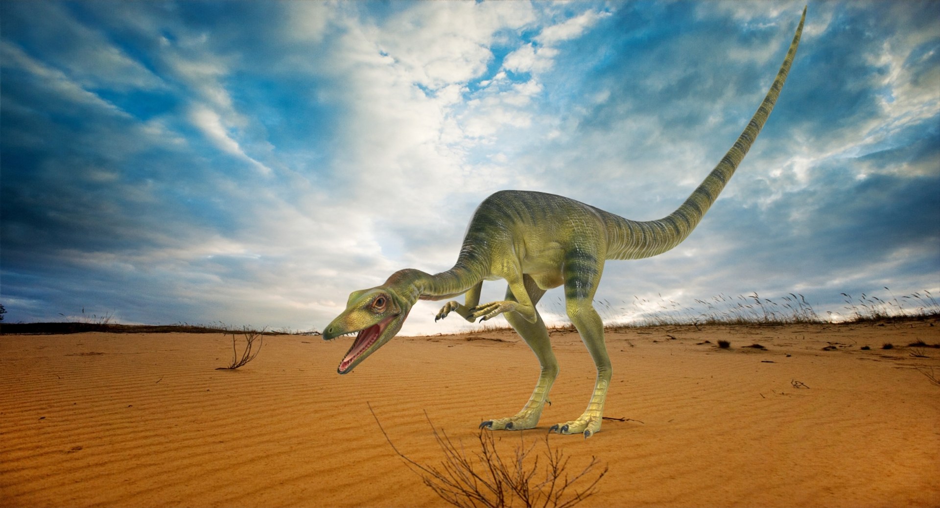 3D Model Compsognathus Dinosaur Rigged Animate - TurboSquid 1285569