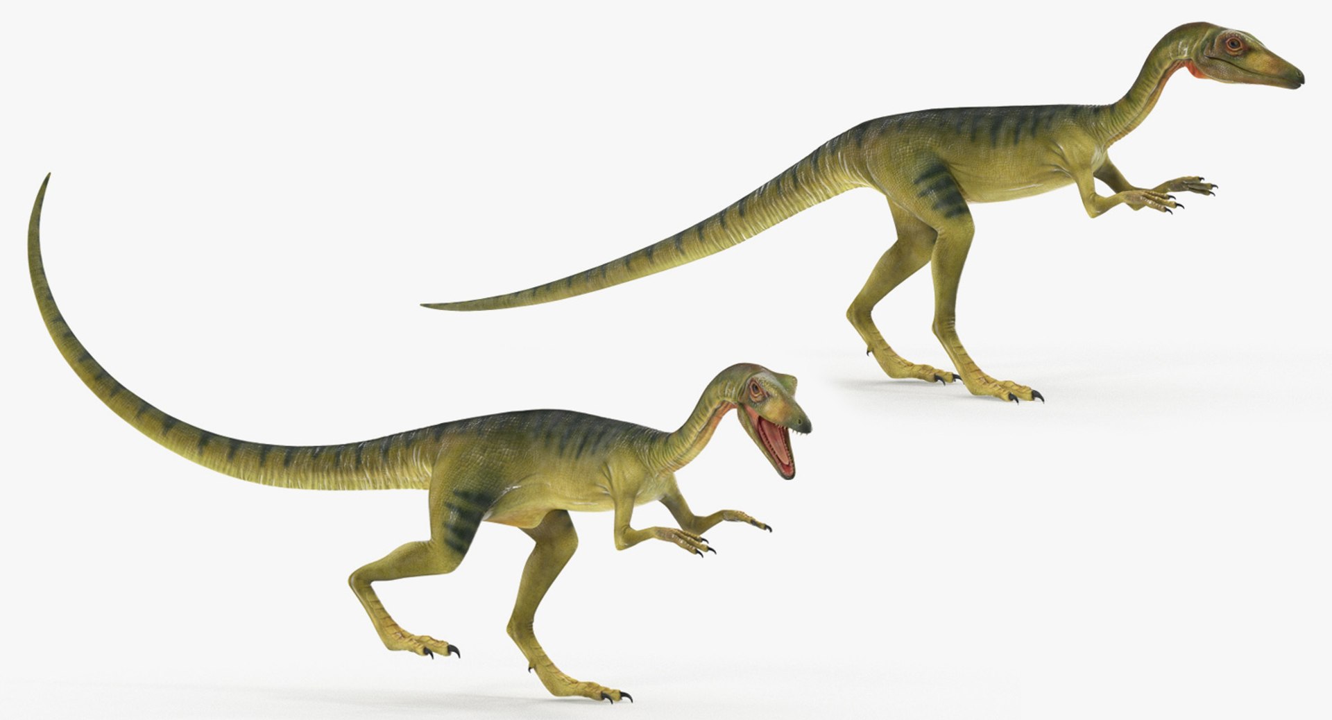 3D Model Compsognathus Dinosaur Rigged Animate - TurboSquid 1285569