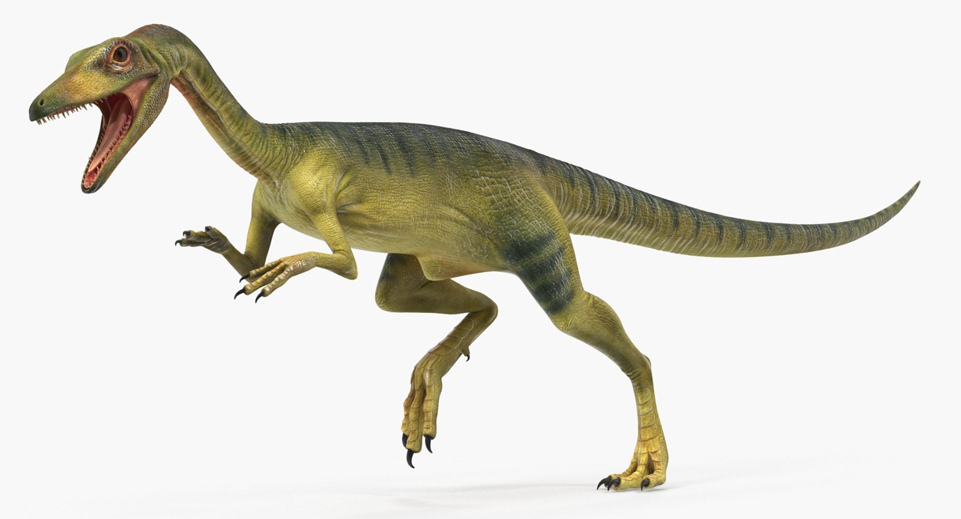 3D Model Compsognathus Dinosaur Rigged Animate - TurboSquid 1285569