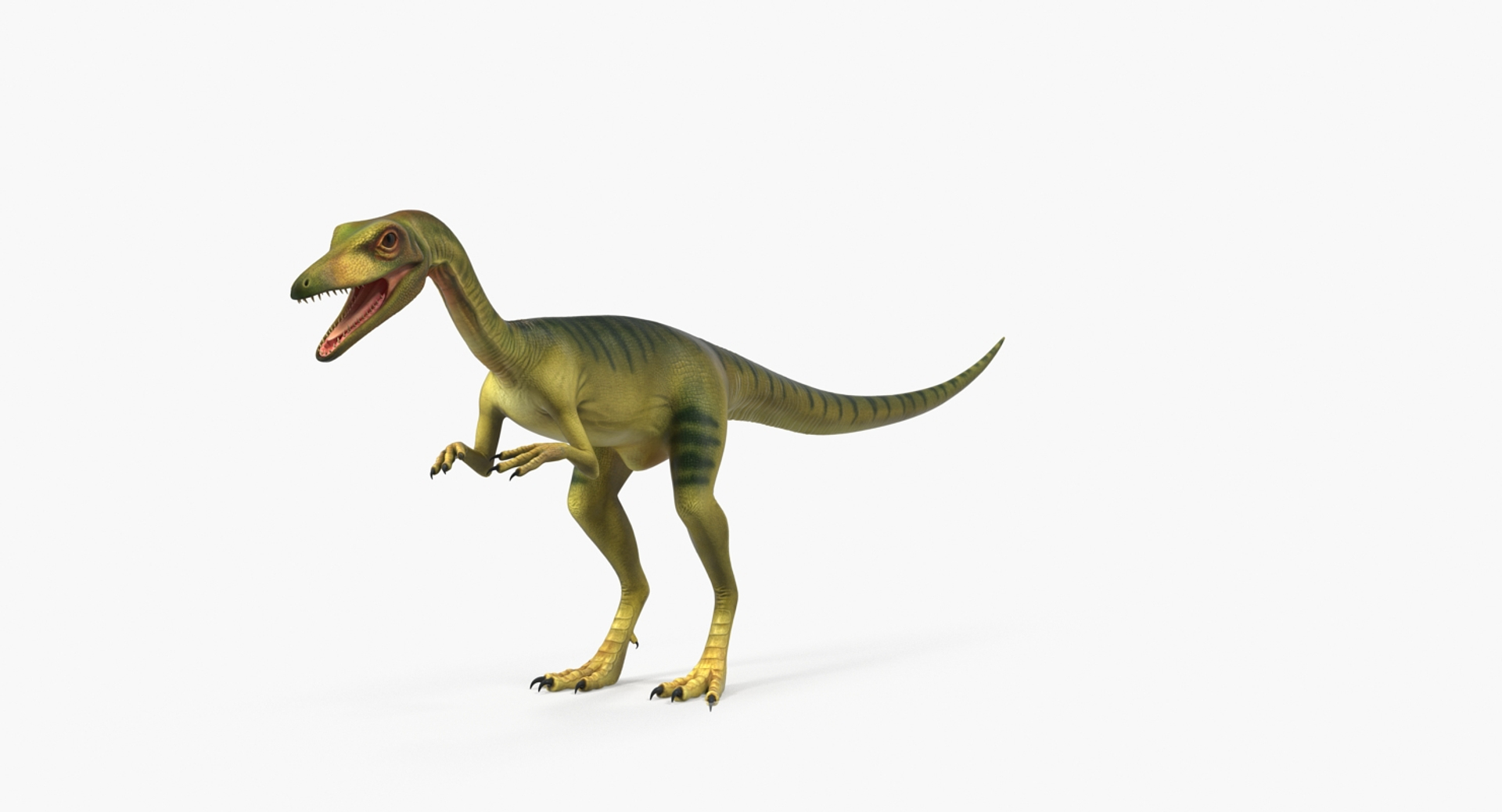 3D Model Compsognathus Dinosaur Rigged Animate - TurboSquid 1285569