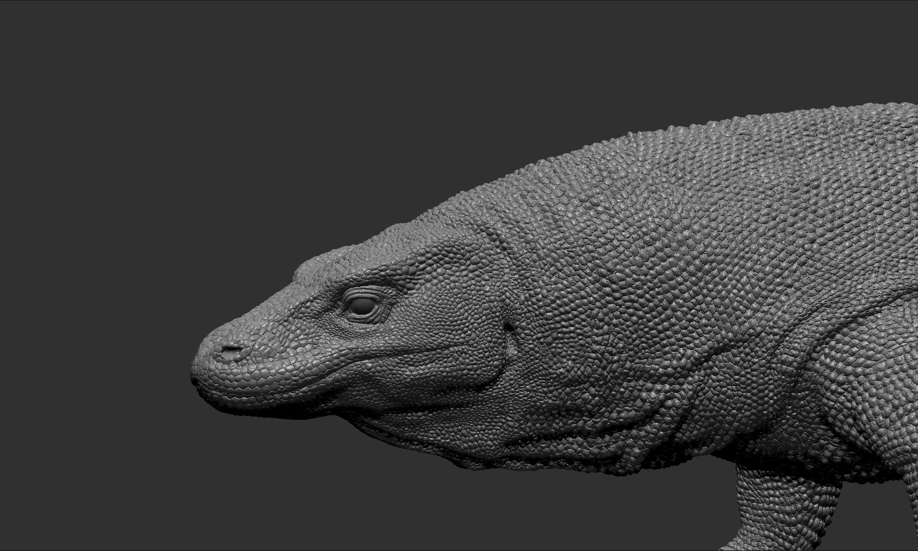 Komodo Dragon 3d Obj