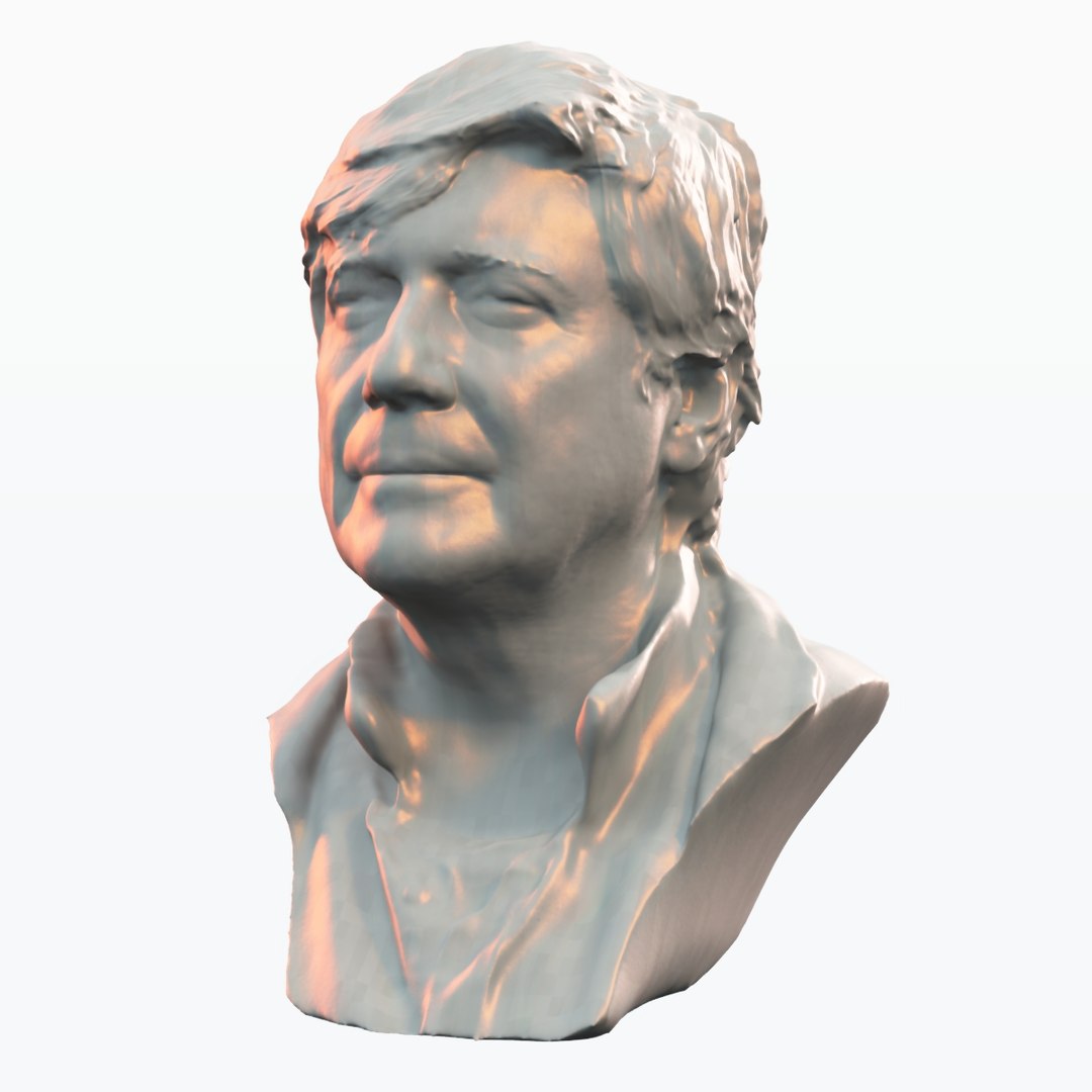 3d Human Head Bust