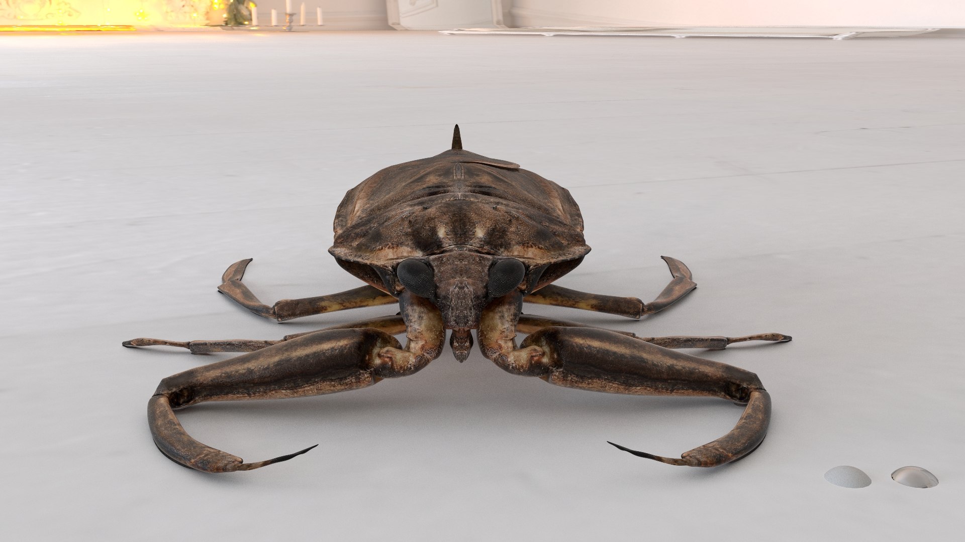 3D Rigged GiantWaterBug Model - TurboSquid 2013314