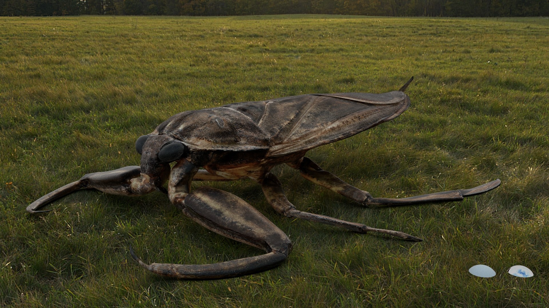 3D Rigged GiantWaterBug Model - TurboSquid 2013314