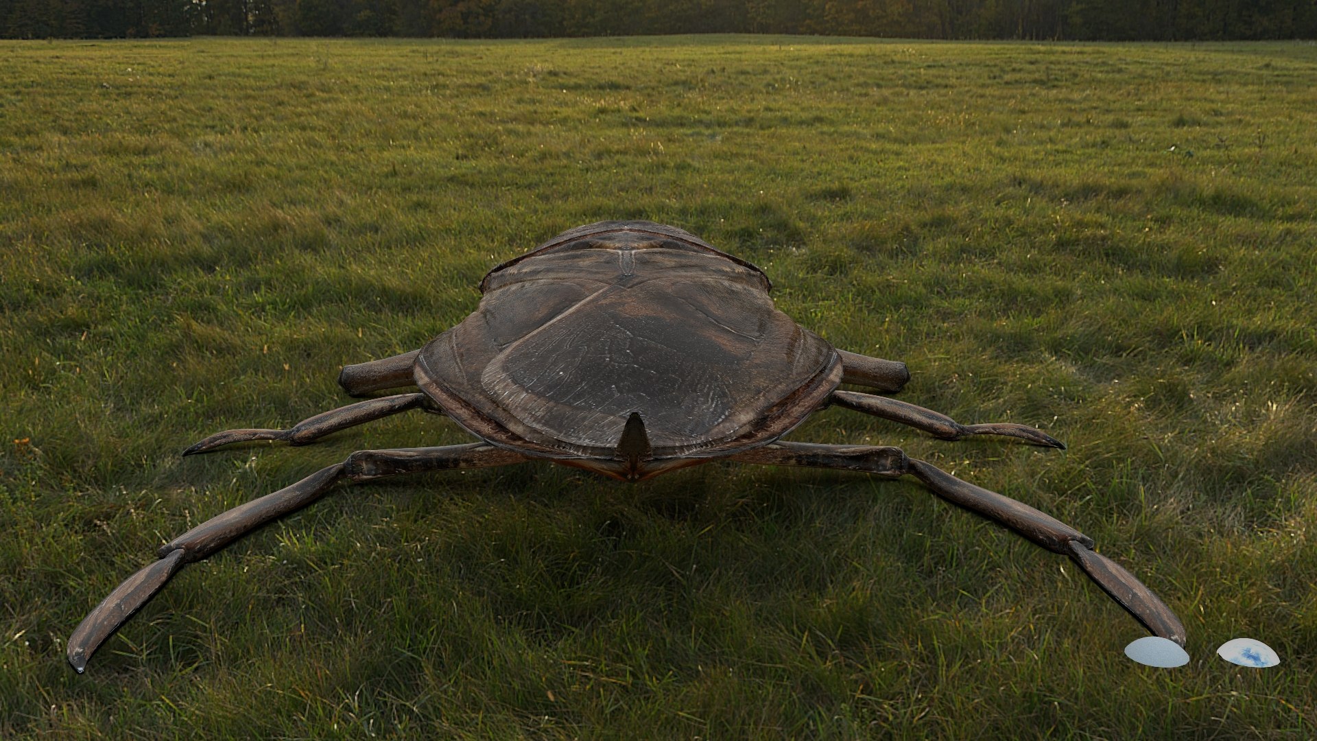 3D Rigged GiantWaterBug Model - TurboSquid 2013314